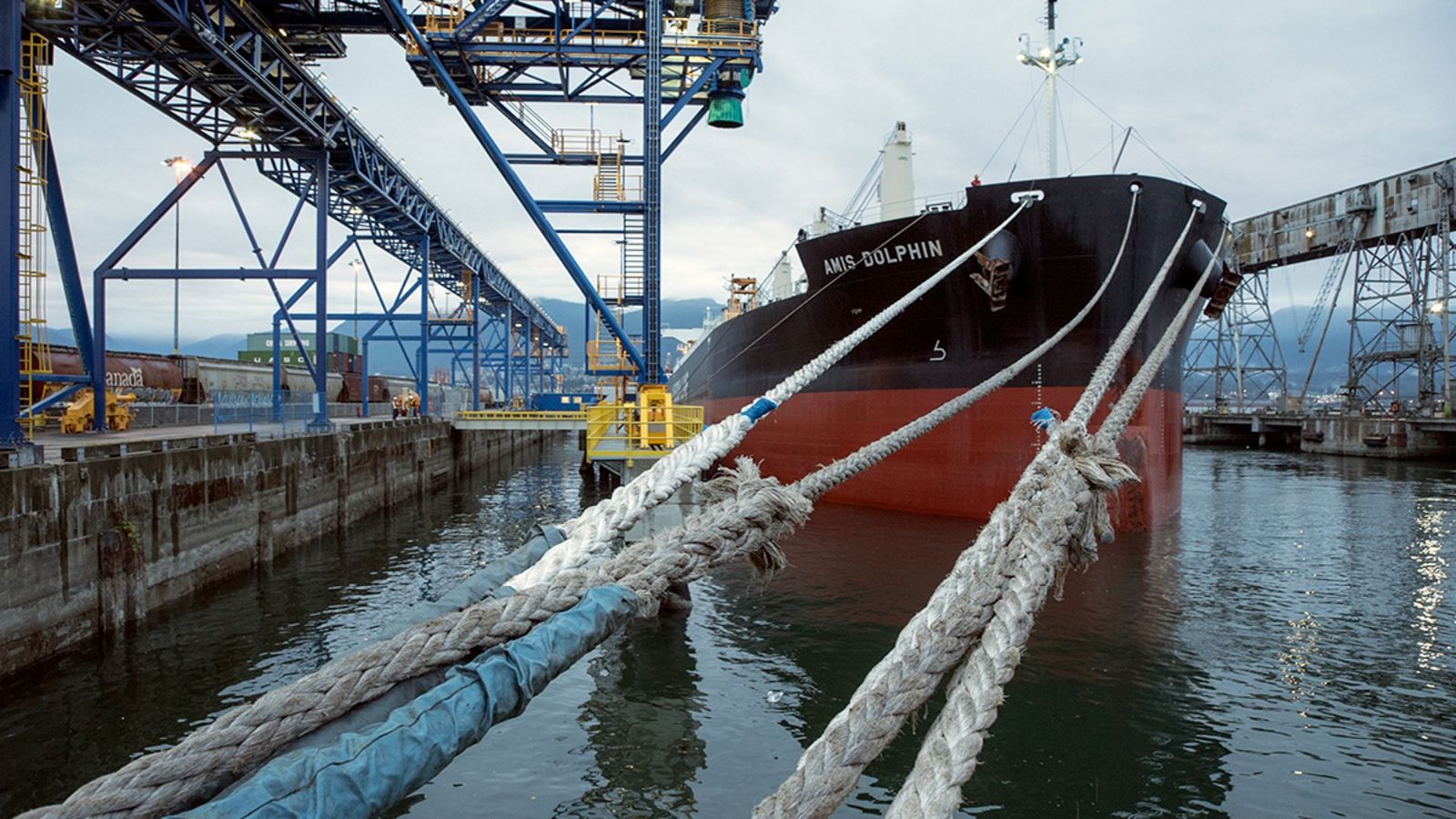 Pacific Terminal Ship Loader Installation Time Lapse