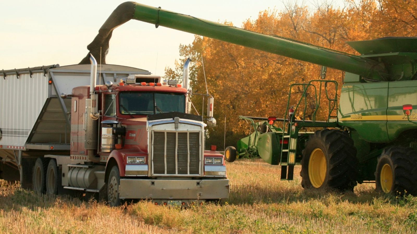 Viterra Direct Deposit